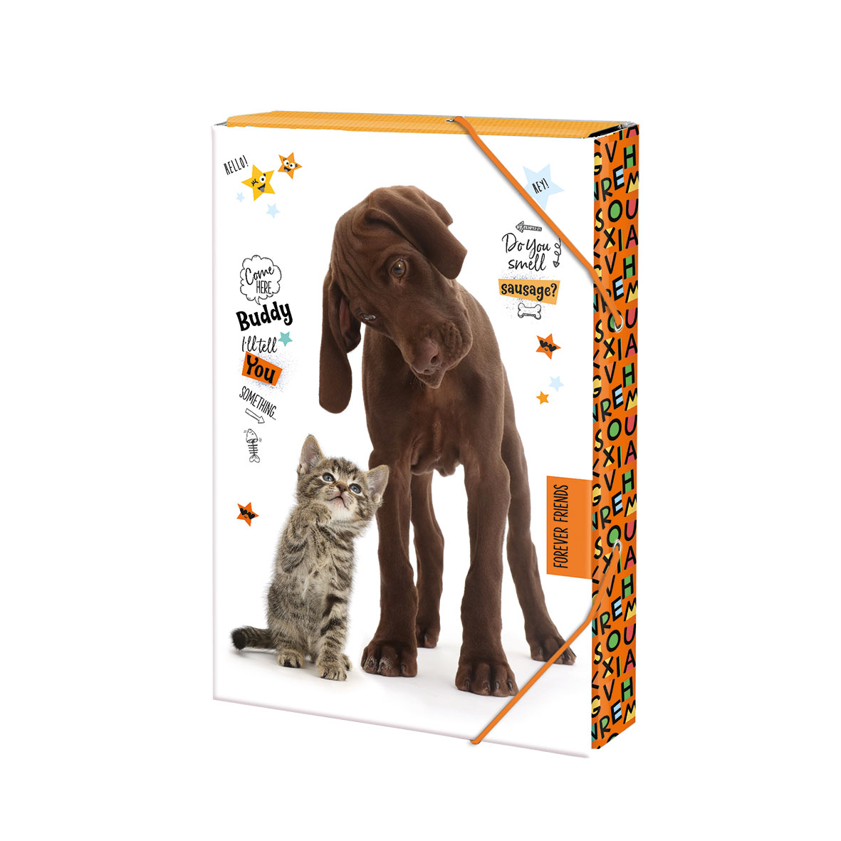 1241-0307 Box na zošity A5 Forever friends | argus.sk